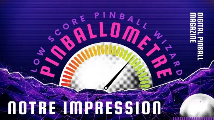 Labyrinth Pinball machine | Barrels of Fun | Preview