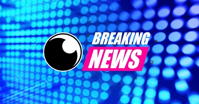 P3 Multimorphic : new table